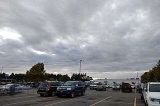 Earthbound Misfit | Dana Seilhan | Substack