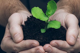 Faith Seeking Understanding | Allan R. Bevere | Substack