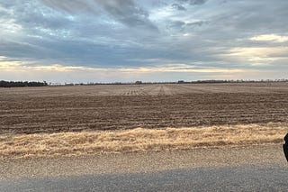 Gray's Voice | Connie Gray | Substack