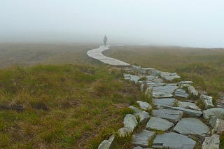 Lit Mag News | Becky Tuch | Substack