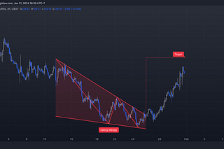 Celeritas Capital | Substack