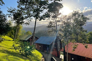 Please, Do Tell | Substack