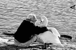 Ars Poetica | Substack