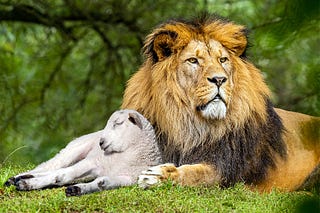 Archive - Astral Codex Ten