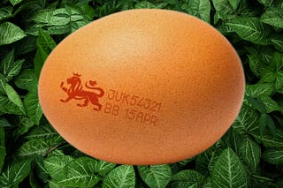 Lit Mag News | Becky Tuch | Substack