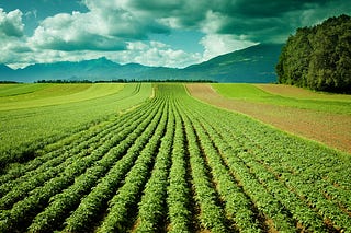 The Future of AgriFood Supply Chain | Sachin Shende | Substack
