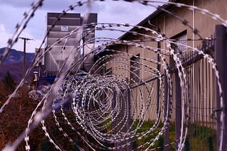 ExcessDeathsAU | Substack