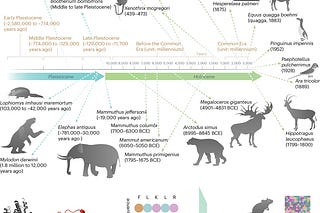 Doctor Penguin Weekly | Substack