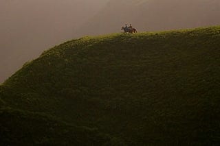 P.W. Elverum & Sun announcements | Phil Elverum | Substack