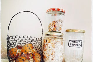 Priscilla’s Newsletter | Priscilla Woolworth | Substack