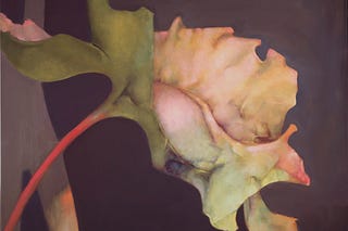 Ask Polly | Heather Havrilesky | Substack