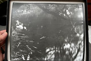 Hillary’s Substack | The Messy Manifestor | Substack