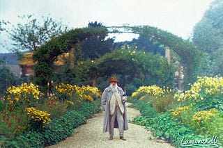 Maybe Baby | Haley Nahman | Substack