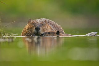 Talking Climate | Katharine Hayhoe | Substack