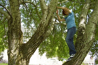 The Hollow | Dixie Dillon Lane | Substack