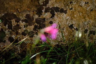 Futurism Restated | Philip Sherburne | Substack