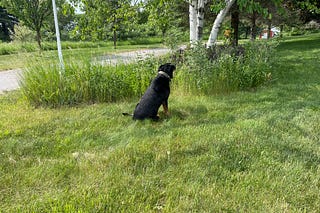 The Deliberate Practice | Jeremy Barr | Substack