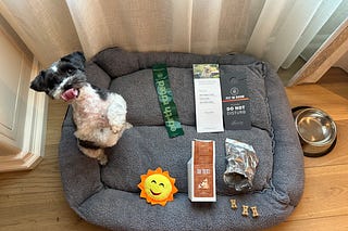 Jill Schildhouse's Media Insights and Assignments | Substack