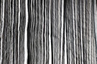 Zed’s Substack | Zed Sheng | Substack