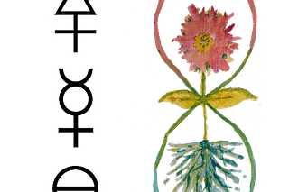 Applied Biodynamics | Stewart K Lundy | Substack