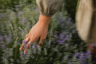 T E M P L O | Has López | Substack