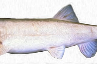 The Land Desk | Jonathan P. Thompson | Substack