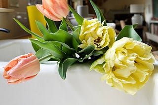 Echoes + Evidence | Ali Edwards | Substack