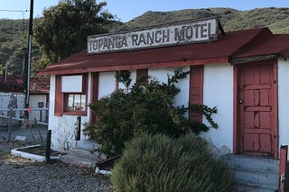 Diary Of Amy Rigby | Substack