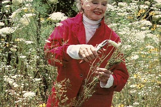 The Perfect | Substack