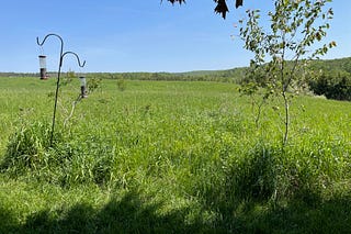 The Deliberate Practice | Jeremy Barr | Substack