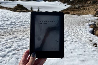 intumescência | Camila Félix | Substack