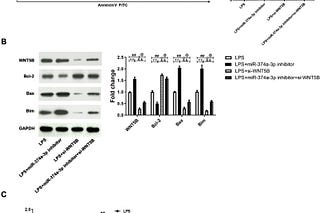 WMC Research | Walter M Chesnut | Substack