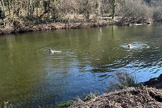 The Queenager with Eleanor Mills | Substack