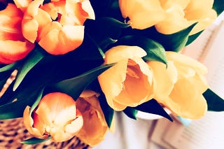 Cultivate with me | Caroline | Substack