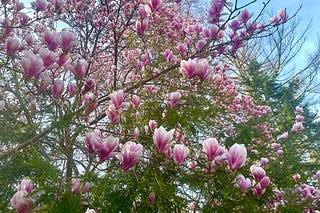 Extra Good | Bryce Gruber | Substack