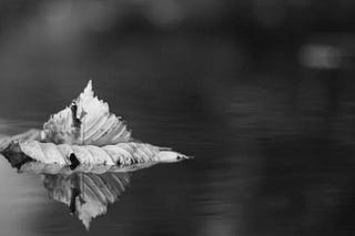 It's All About the Data | Manuel Delgado Tenorio | Substack