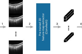 Doctor Penguin Weekly | Substack