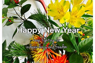 Lizzy’s Substack | Substack