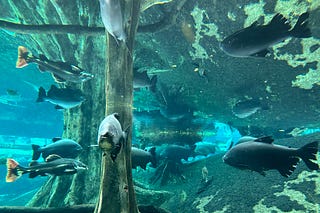 Futurism Restated | Philip Sherburne | Substack