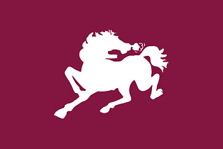 Maroon Observer | Liam Callaghan | Substack