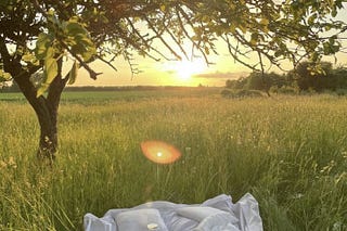 Golden Nurture | Emily Smith | Substack