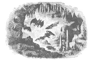 Science Fictions | Stuart Ritchie | Substack