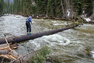 The Blue Room with MaryAnn McKibben Dana | Substack