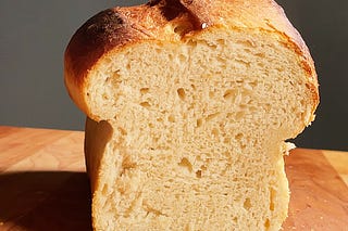 SCRAPS | Carolina Gelen | Substack