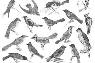 Science Fictions | Stuart Ritchie | Substack