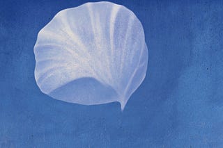 starting from nix | Nix 🕊 | Substack