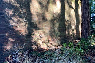 DIRT | Caroline Beck | Substack