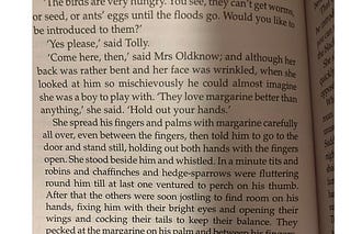 Camilla Grudova | Substack