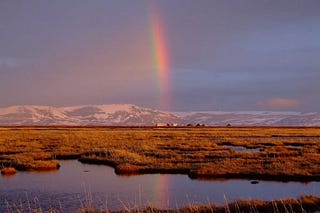 Shepherd Alaska - Monitoring Change in Extraordinary Times | Substack