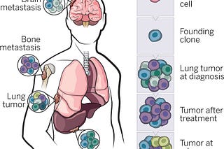 Fenbendazole Can Cure Cancer | Ben Fen | Substack